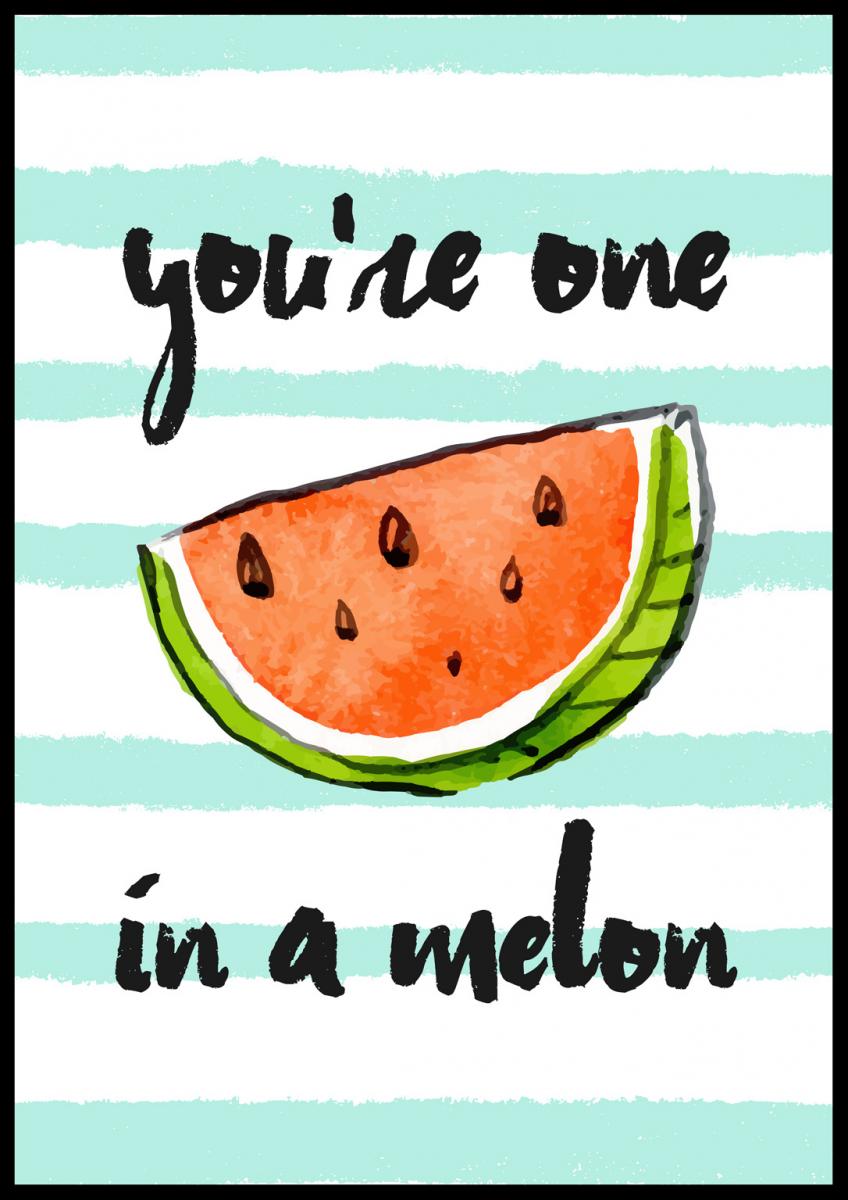 Buy You´re one in a melon Poster here - BGASTORE.IE